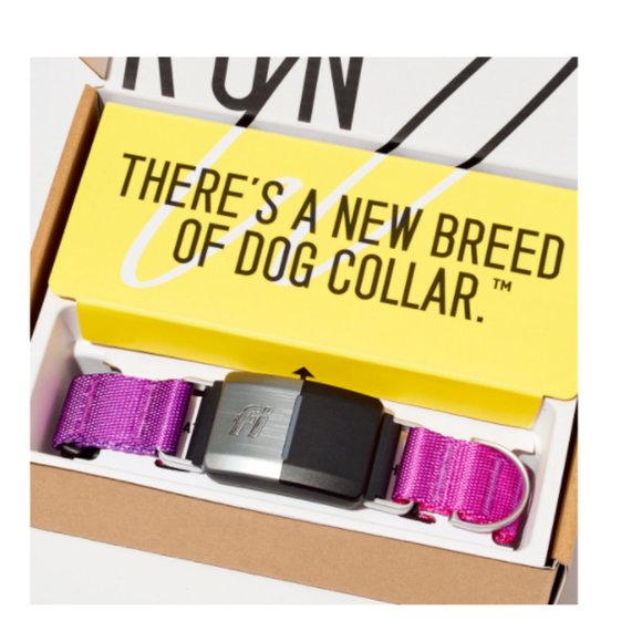 Fi | Dog | Fi Series 2 Gps Tracker Smart Dog Collar Size Small | Poshmark